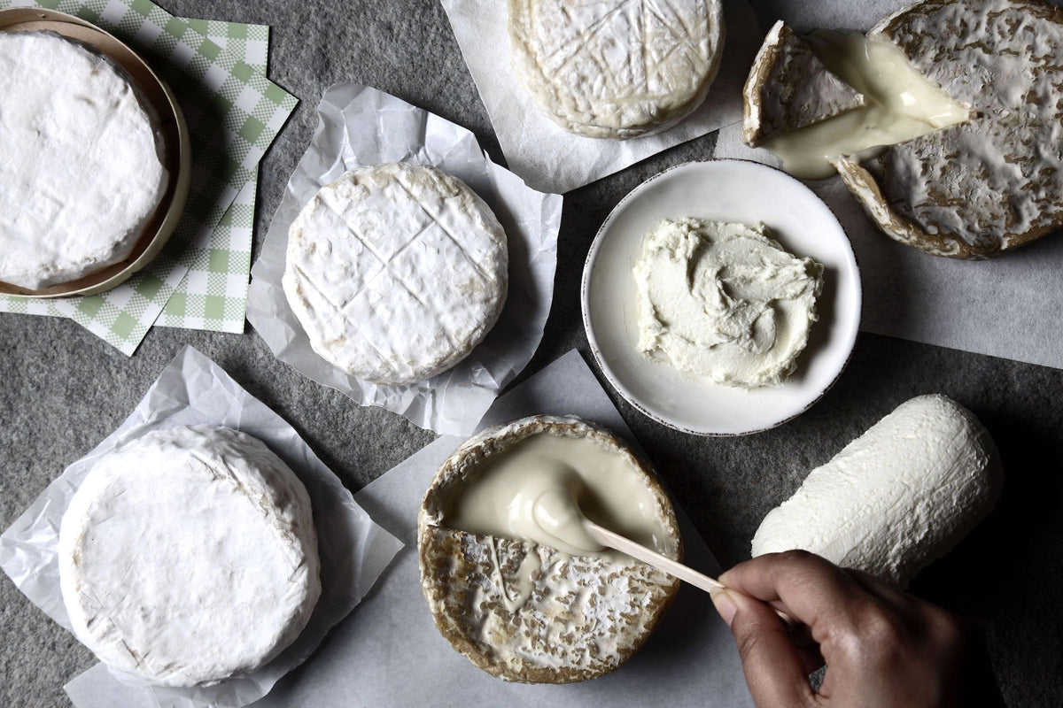 Cheese – The Lazy Loaf